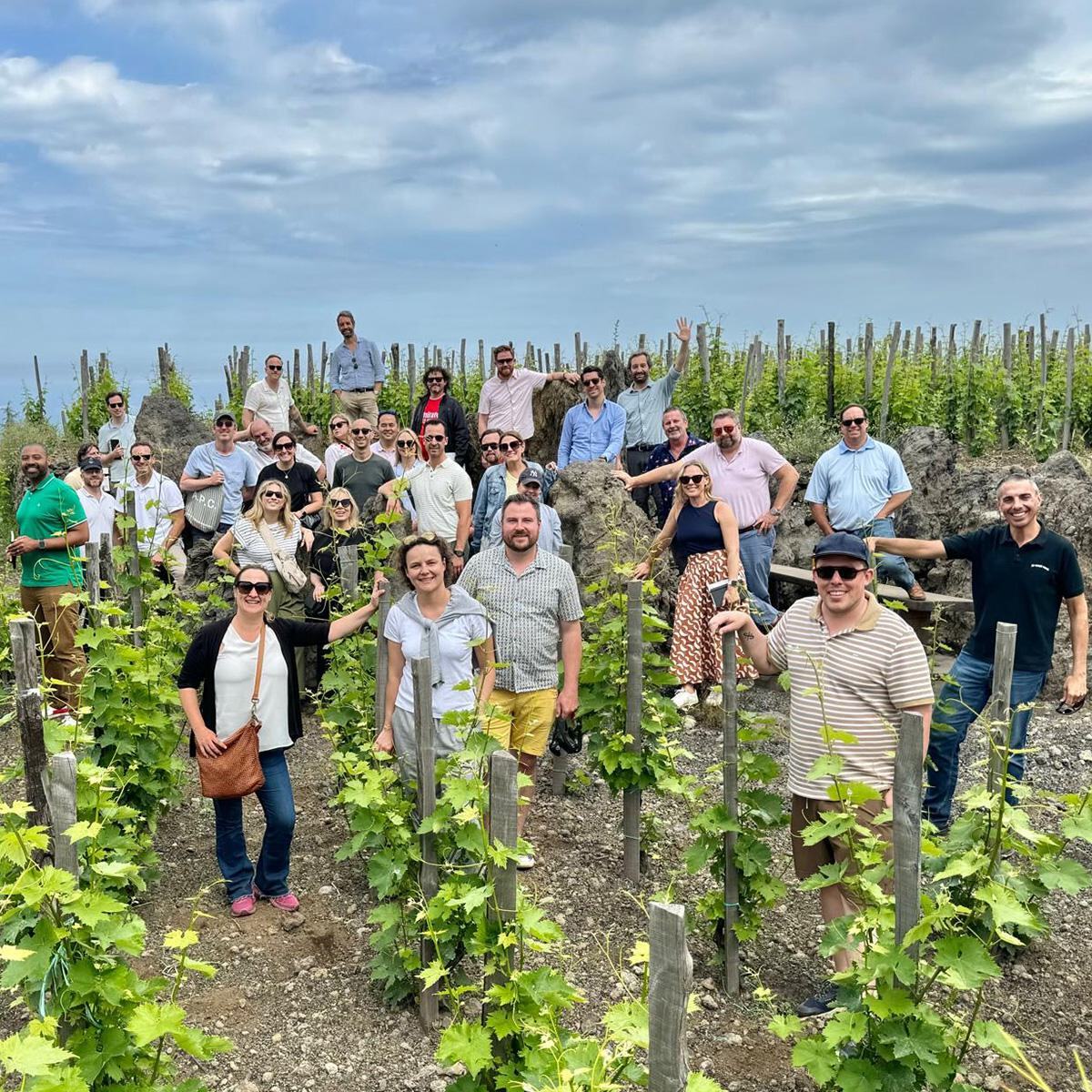 About | Wilson Daniels