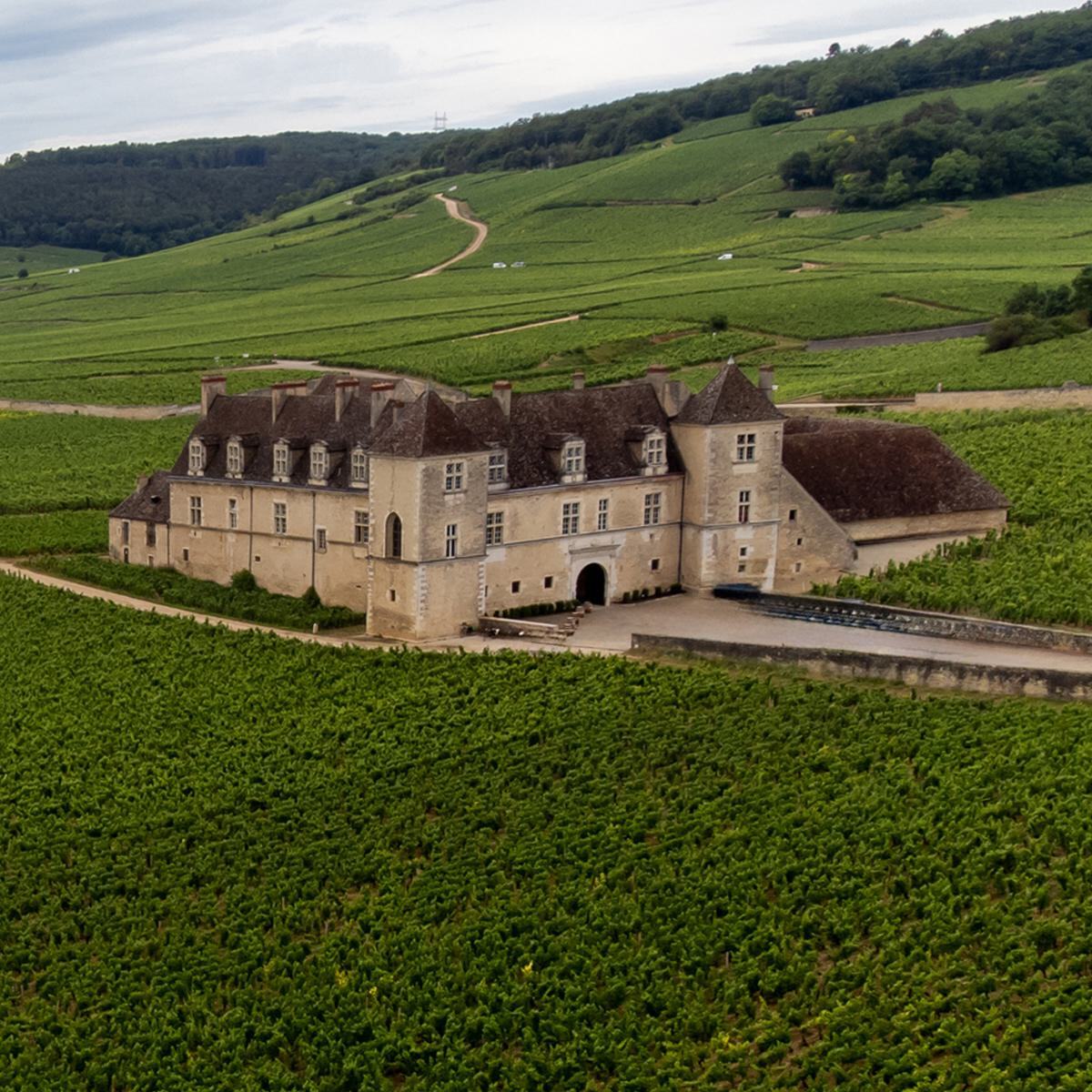 Wilson Daniels - Luxury Wines Importer and Marketer