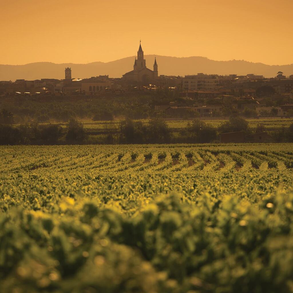 Trade Tools | Wilson Daniels